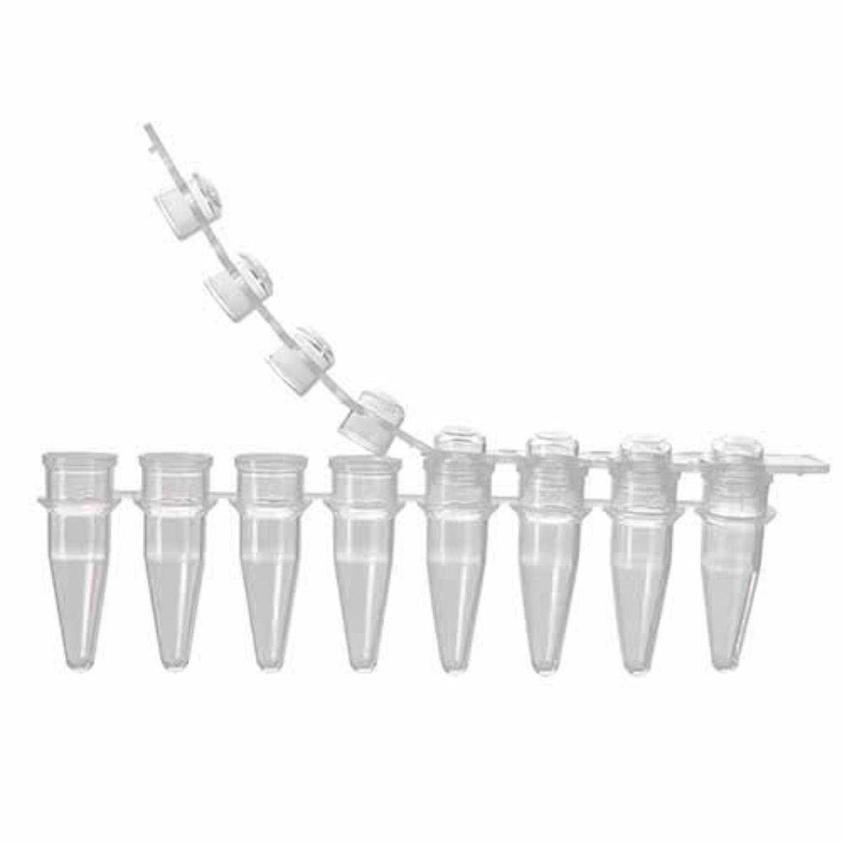 MICROTUBO PCR 200 UL TIRAS 8X TAMPA DOMED. TRANSPARENTE. 125 UN/PCT ...